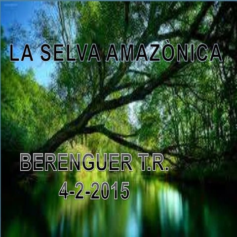 La selva amazònica berenguer | PPT