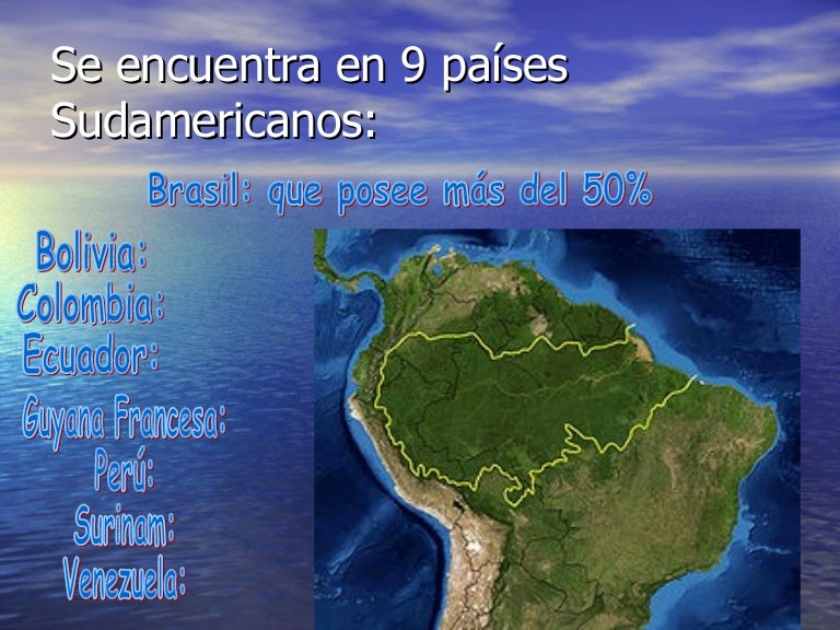 Amazonas Que Paises Abarca at Adrienne Maldonado blog