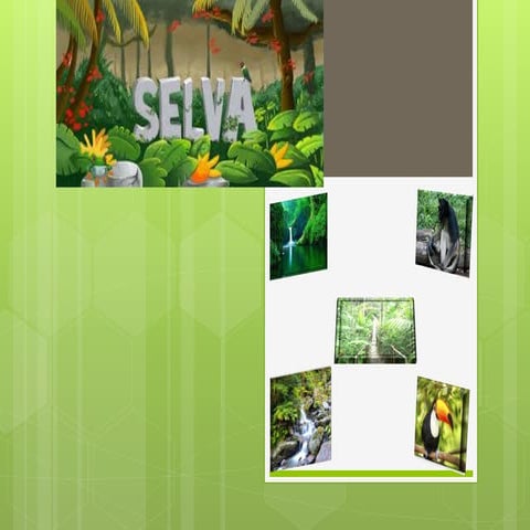 La selva | PDF