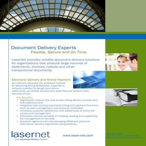Laser Net Overview 2pg | PDF | Technology & Computing
