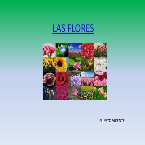 Las flores | PPTX