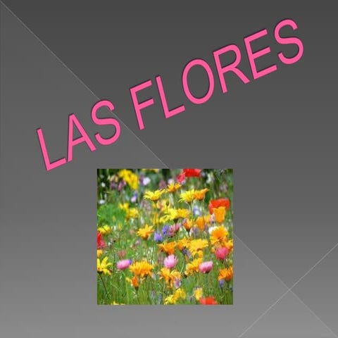 Las flores | PPTX