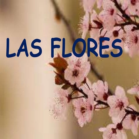 Las flores | PPTX