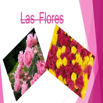 Las flores | PPTX