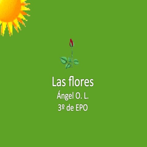 Las flores | PPT