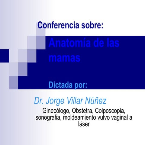 Las mamas órganos glandulares | PPT