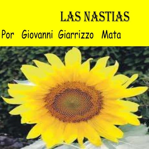 Las nastias | PPTX