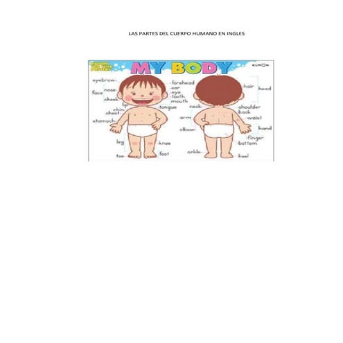 Las Partes Del Cuerpo Worksheet
