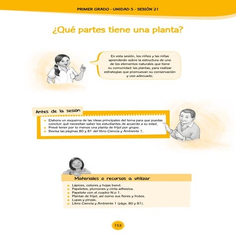 Hoja De Trabajo Sobre Las Partes De Una Planta Para Primer Grado