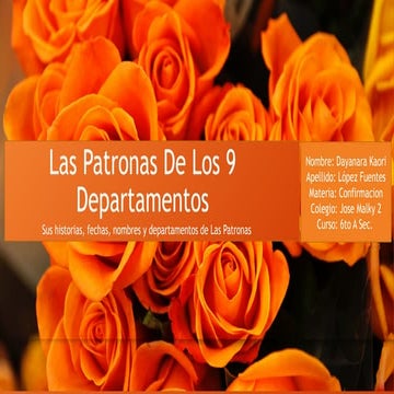 Las Patronas De Los 9 Departamentos.pptx