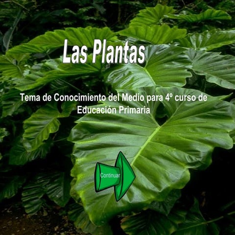 Las Plantas | PPT