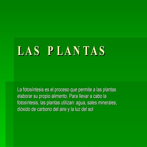 Las Plantas | PPT