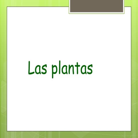 Las plantas | PPT
