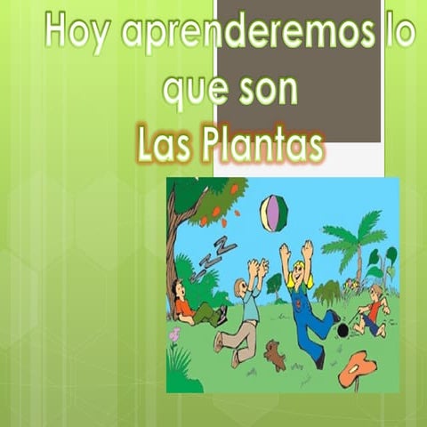 Las plantas. | PPT