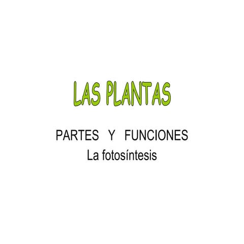 Las plantas | PPT