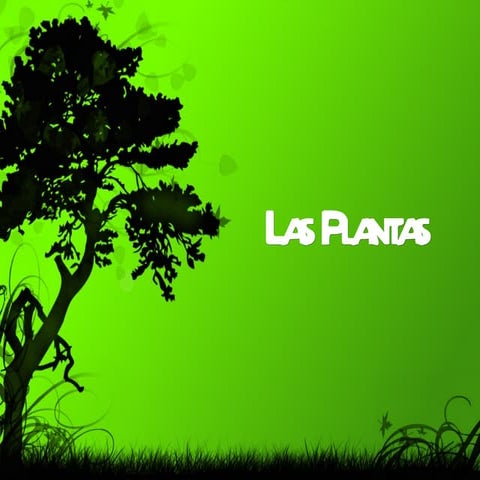 Las plantas | PPT