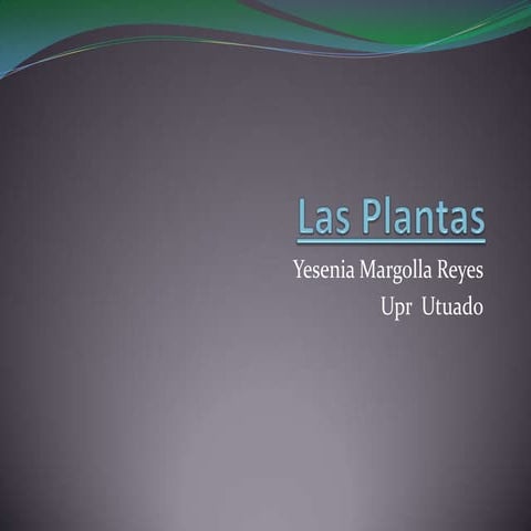 Las plantas | PPTX
