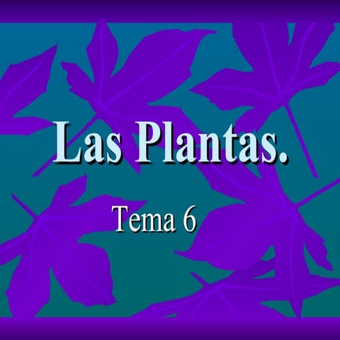 Las plantas | PPTX