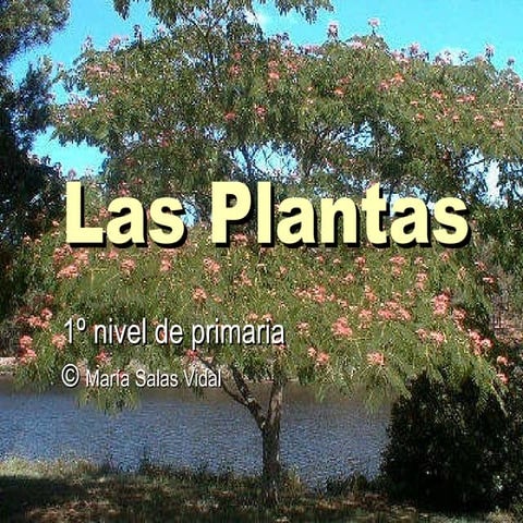 Las plantas | PPT
