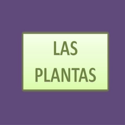 Las plantas | PPT