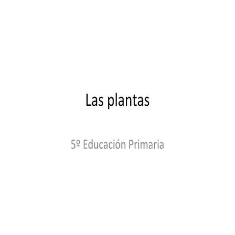 Las plantas | PPT
