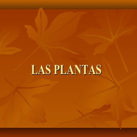 Las plantas | PPT