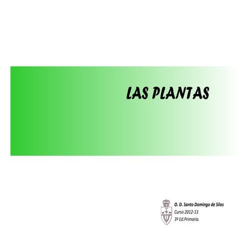 Las plantas | PPT