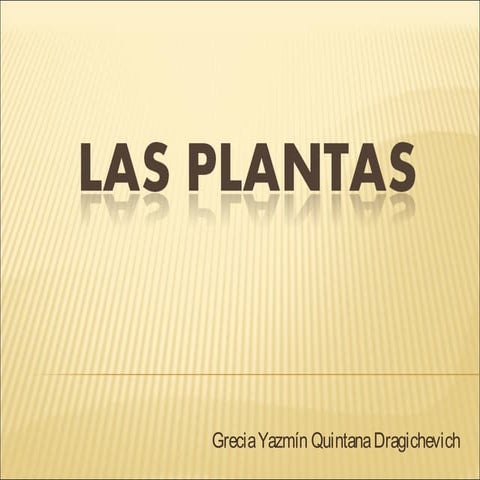 Las plantas | PPT