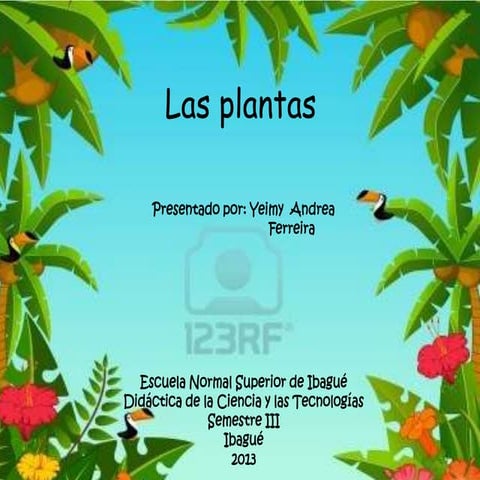 Las plantas | PPTX
