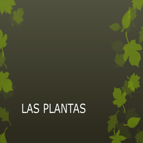 Las plantas | PPTX
