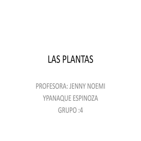 Las plantas | PPTX