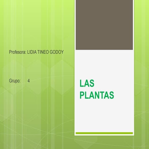 Las plantas | PPTX