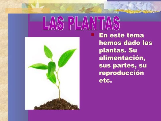 Conocemos las plantas | PPT