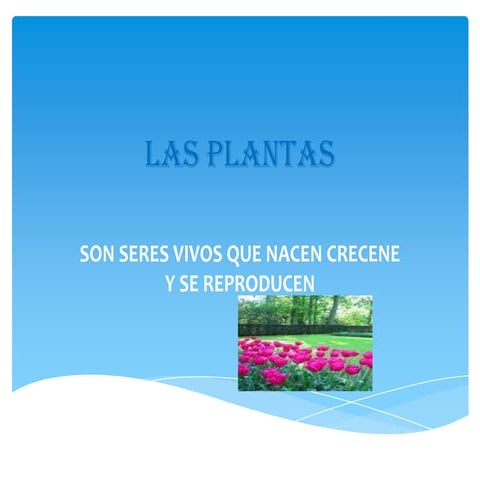 Las plantas | PPT
