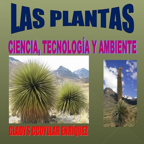 Las plantas | PPT