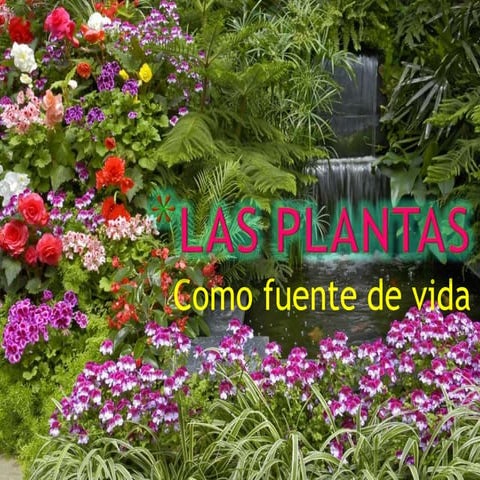Las plantas | PPT