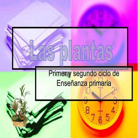 Las plantas | PPT
