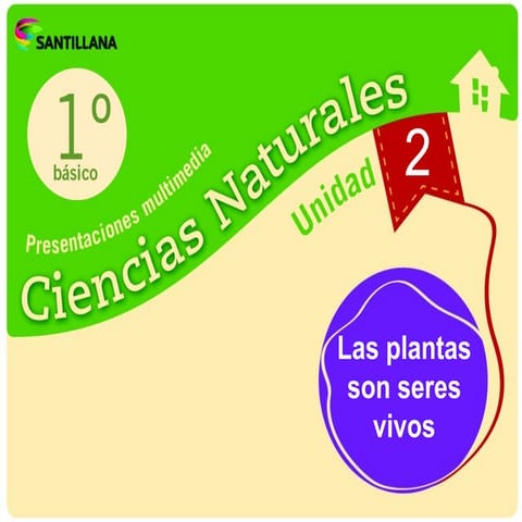 Las plantas | PPT