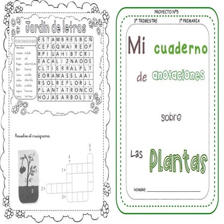 Las plantas | PDF
