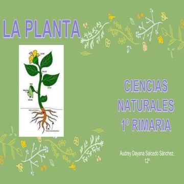Las plantas y sus partes | PPTX