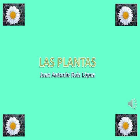 Las plantas | PPTX