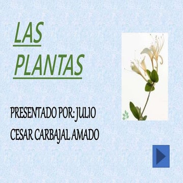 Las plantas | PPTX