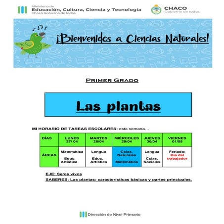 las plantas - 1° grado ciencias naturaLES | PDF