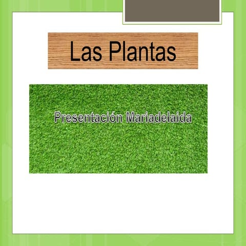LAS PLANTAS.docx