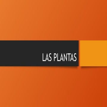Las plantas | PPT