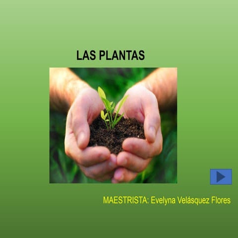 Las plantas presentacion interactiva | PPTX