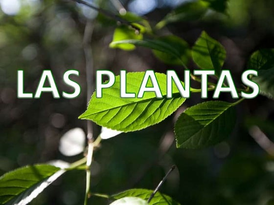 Conocemos las plantas | PPT