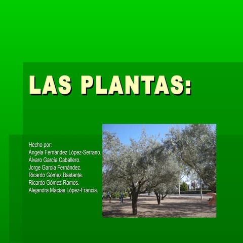 Las plantas | PPT