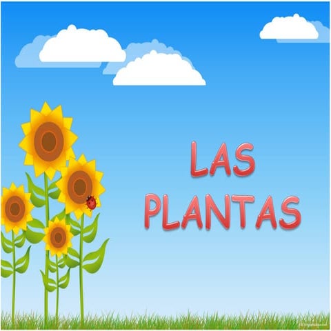 Las plantas | PPT