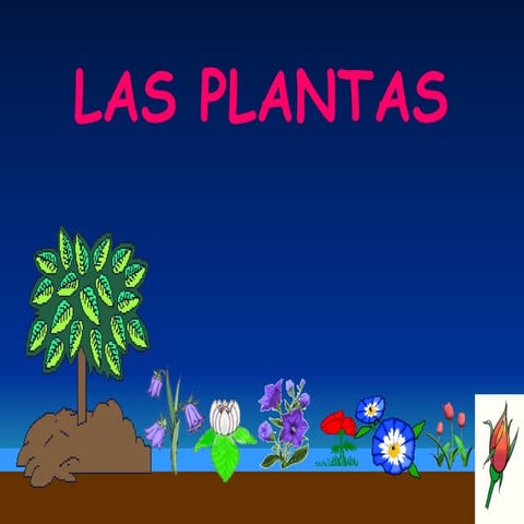 Las Plantas3 | PPT